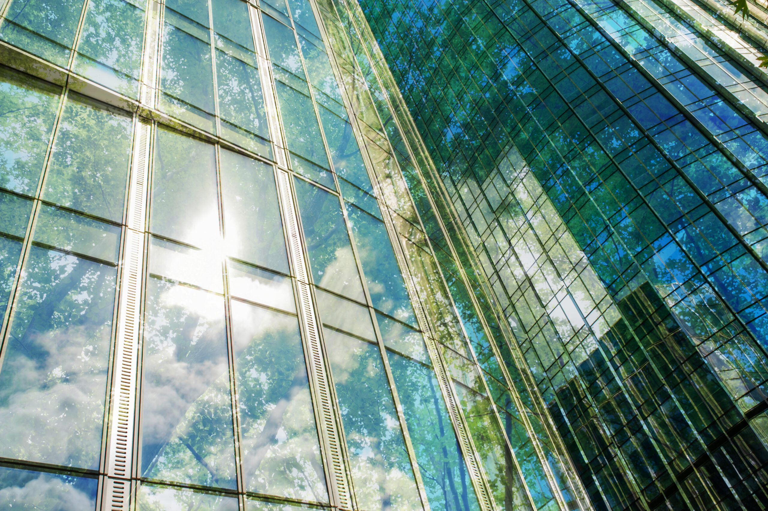 Risilience Summer 2025 Release - Risilience