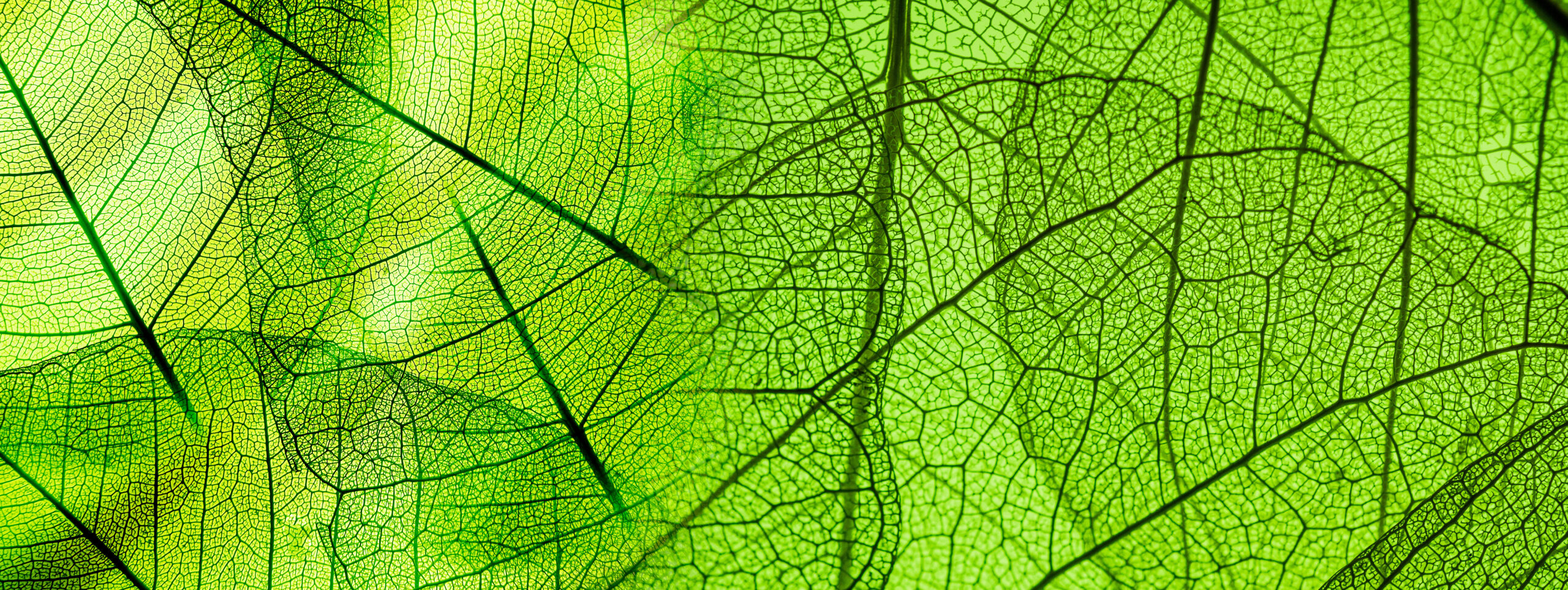 Nature risk for corporates: preparing for the launch of the Task Force ...