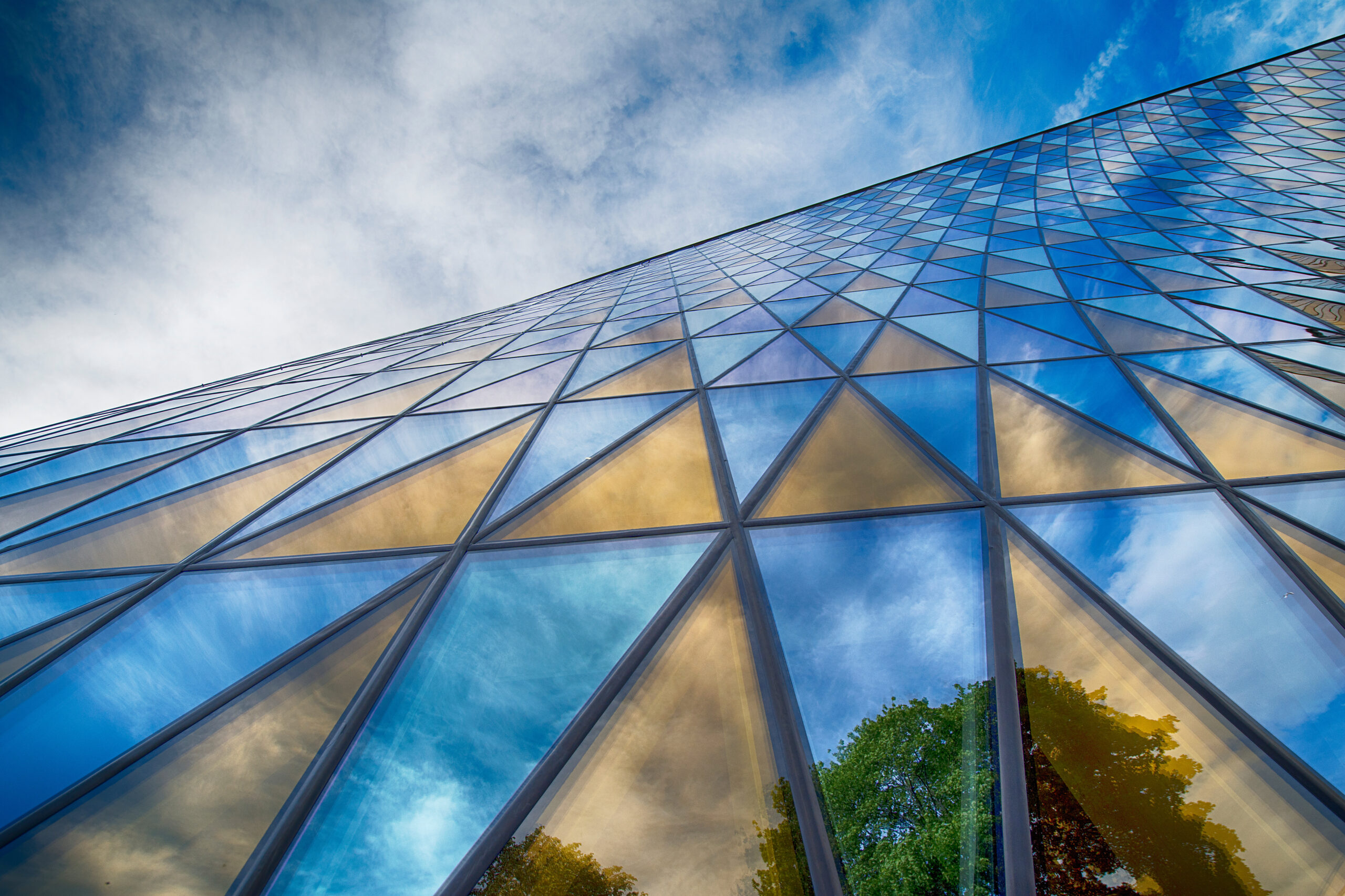 Financing net zero: integrating financial and transition planning ...