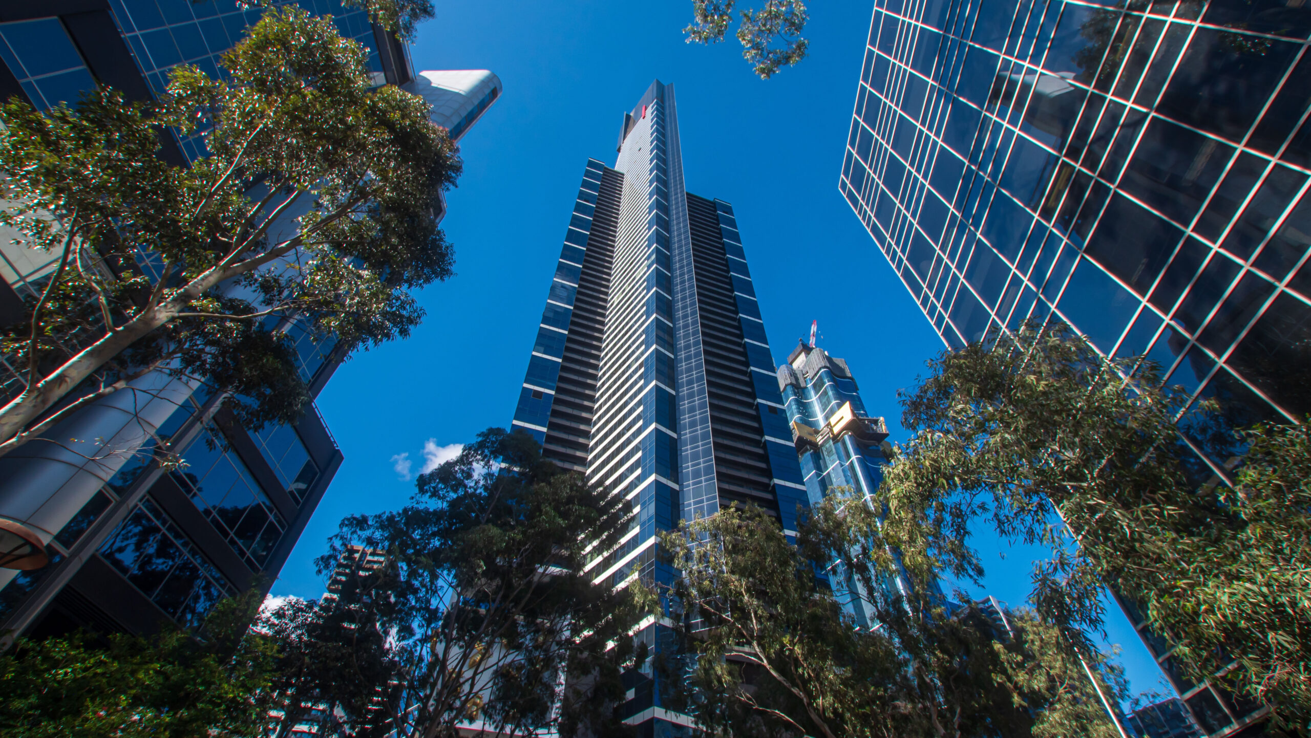 Forward-looking companies in Australia are setting the pace for ISSB-aligned reporting - Risilience