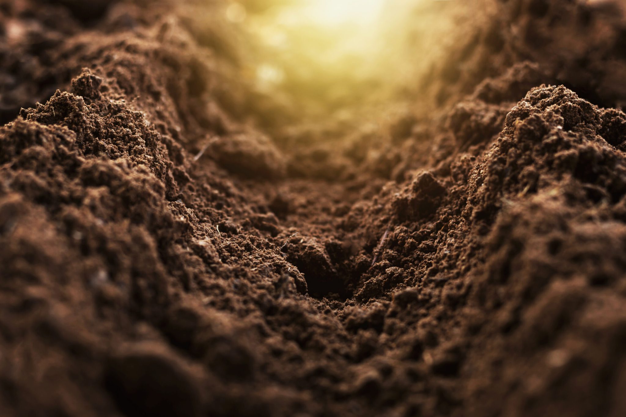 Nature calls – why healthy soil is good for business - Risilience